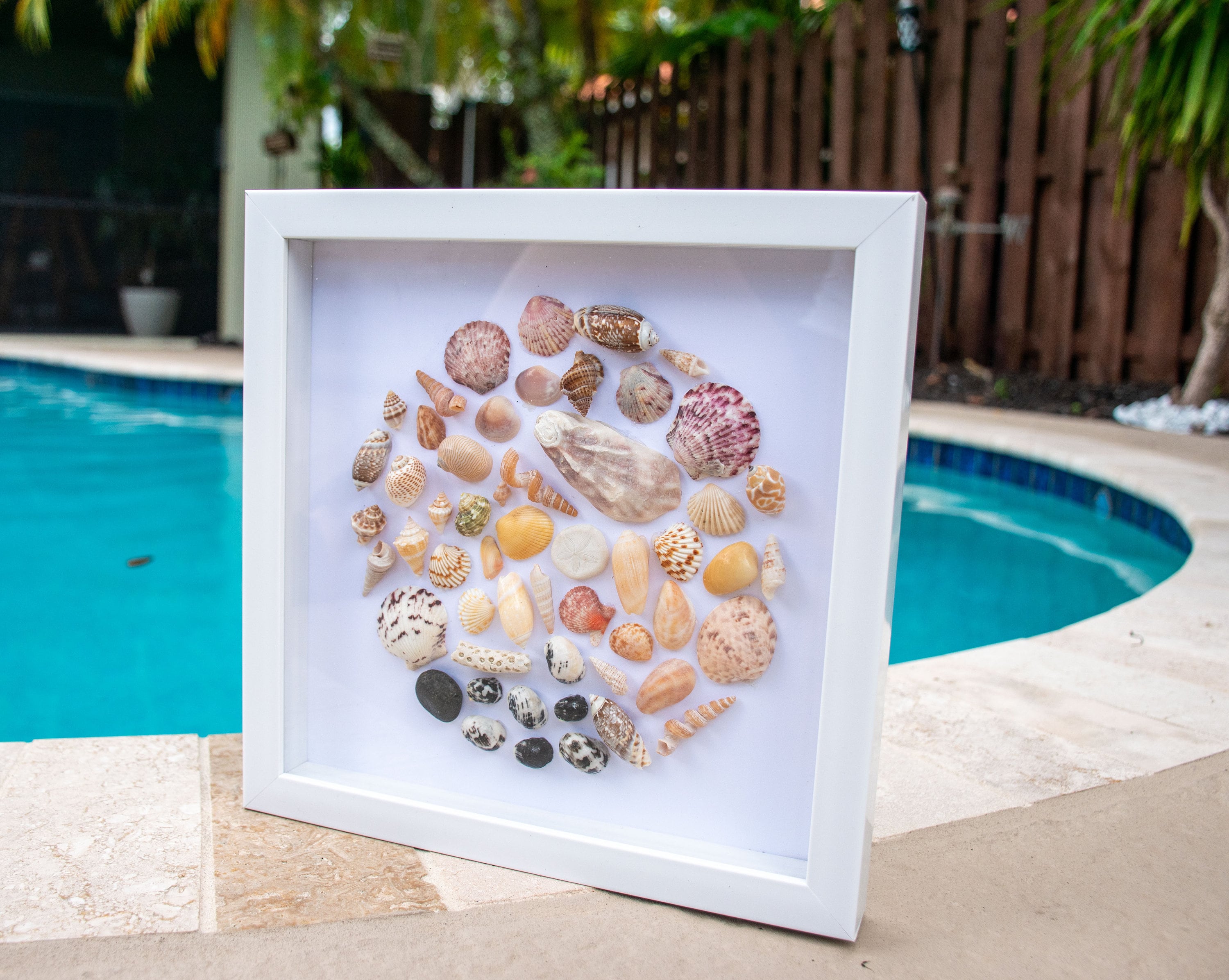 Shell Shadow Box - Etsy