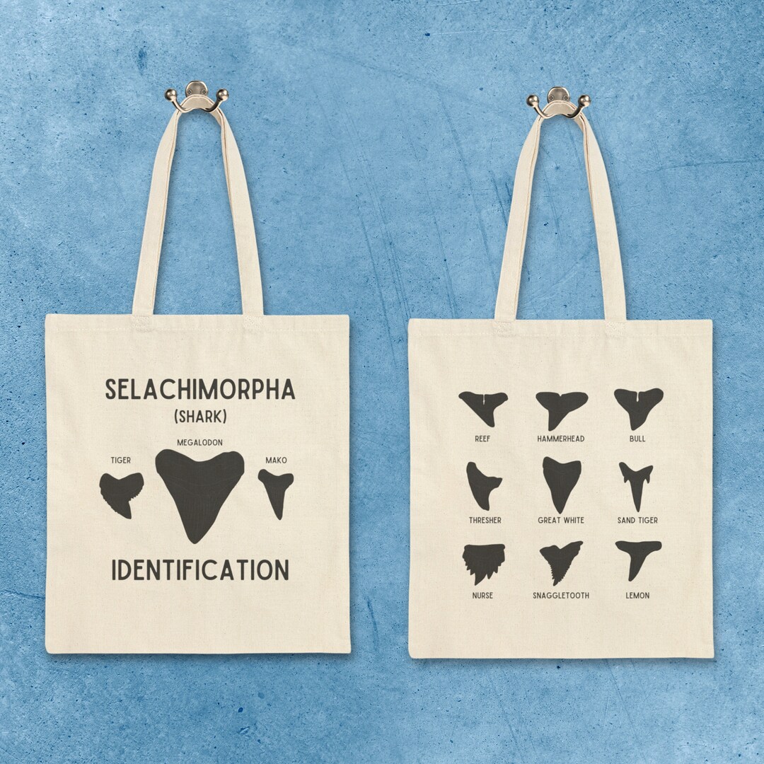 Shark Tooth Bag, Megalodon Shark Tooth, Fossil Bag, Shark Bag, Shark ...