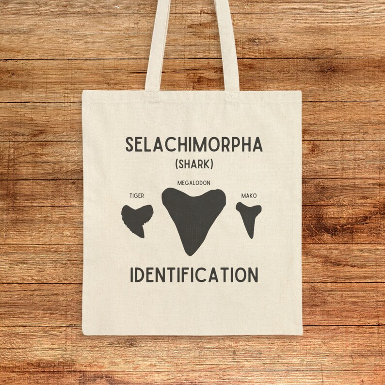 Shark Tooth Bag, Megalodon Shark Tooth, Fossil Bag, Shark Bag, Shark ...