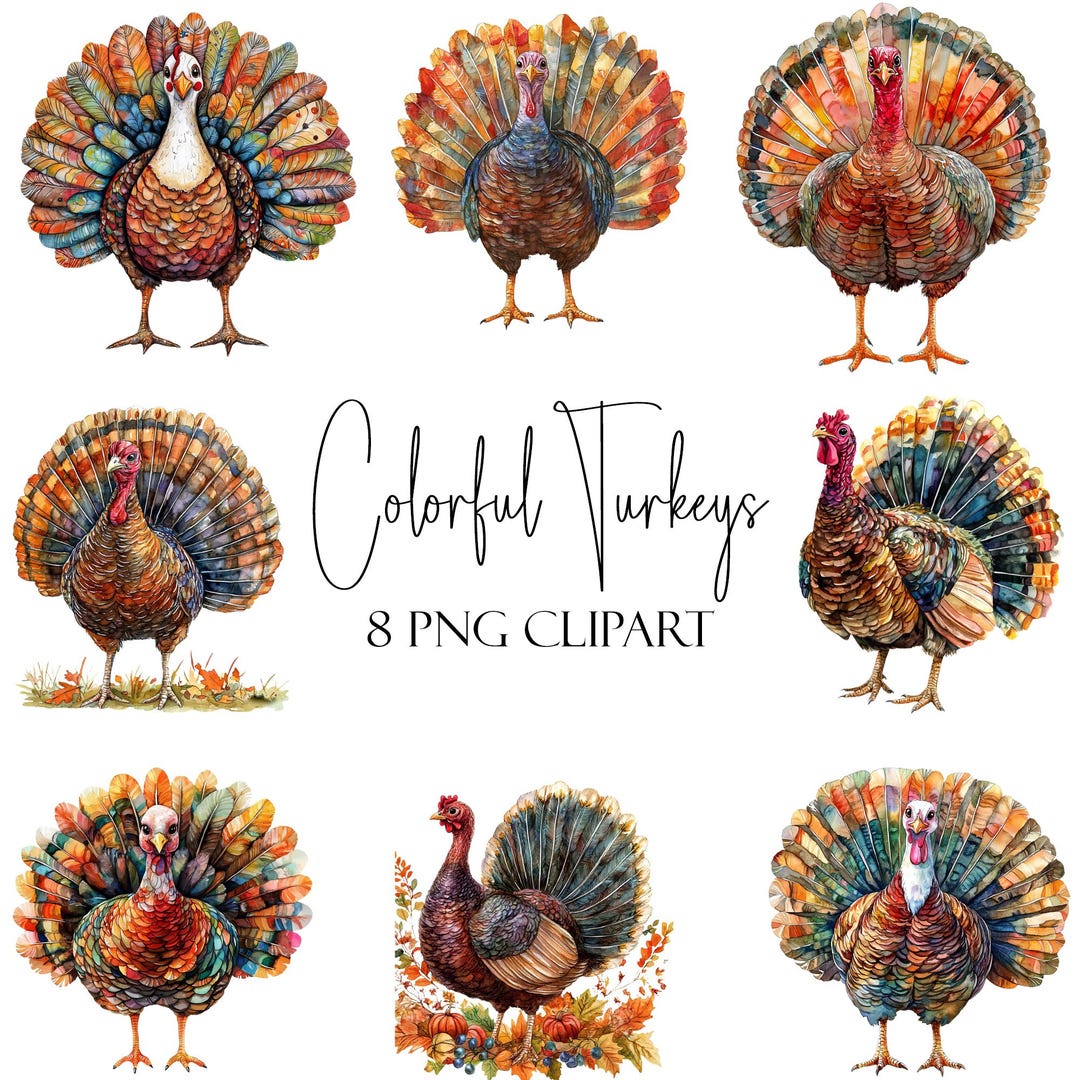 Colorful Turkeys, Thanksgiving Clipart, 8 Pngs, Instant Download ...