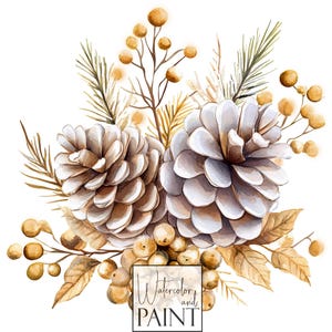Pinecone Clipart, Gold and White, Christmas Elements, 8 Pngs, Instant ...