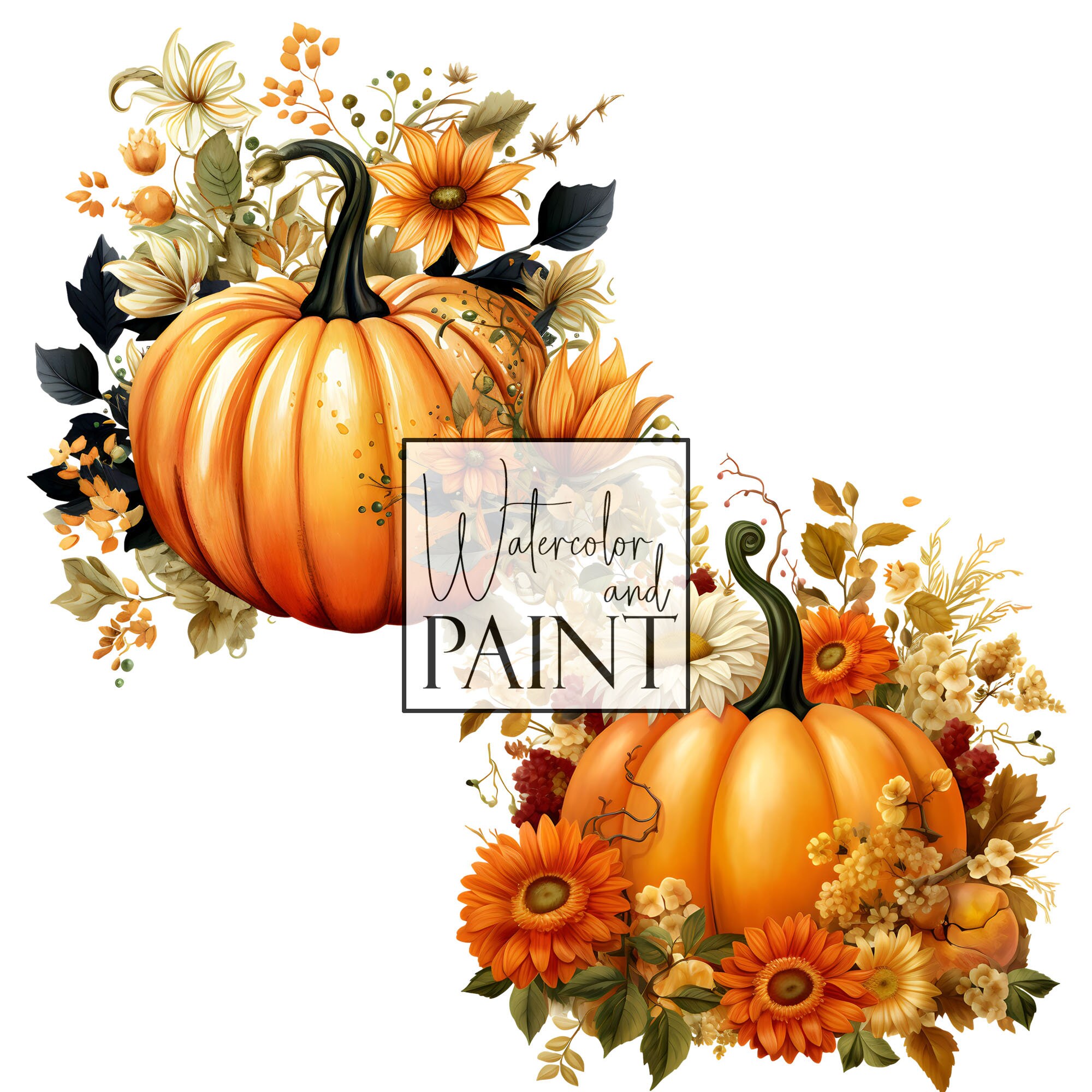 Floral Pumpkin Clipart, Watercolor Fall Elements, PNG Format, Instant ...