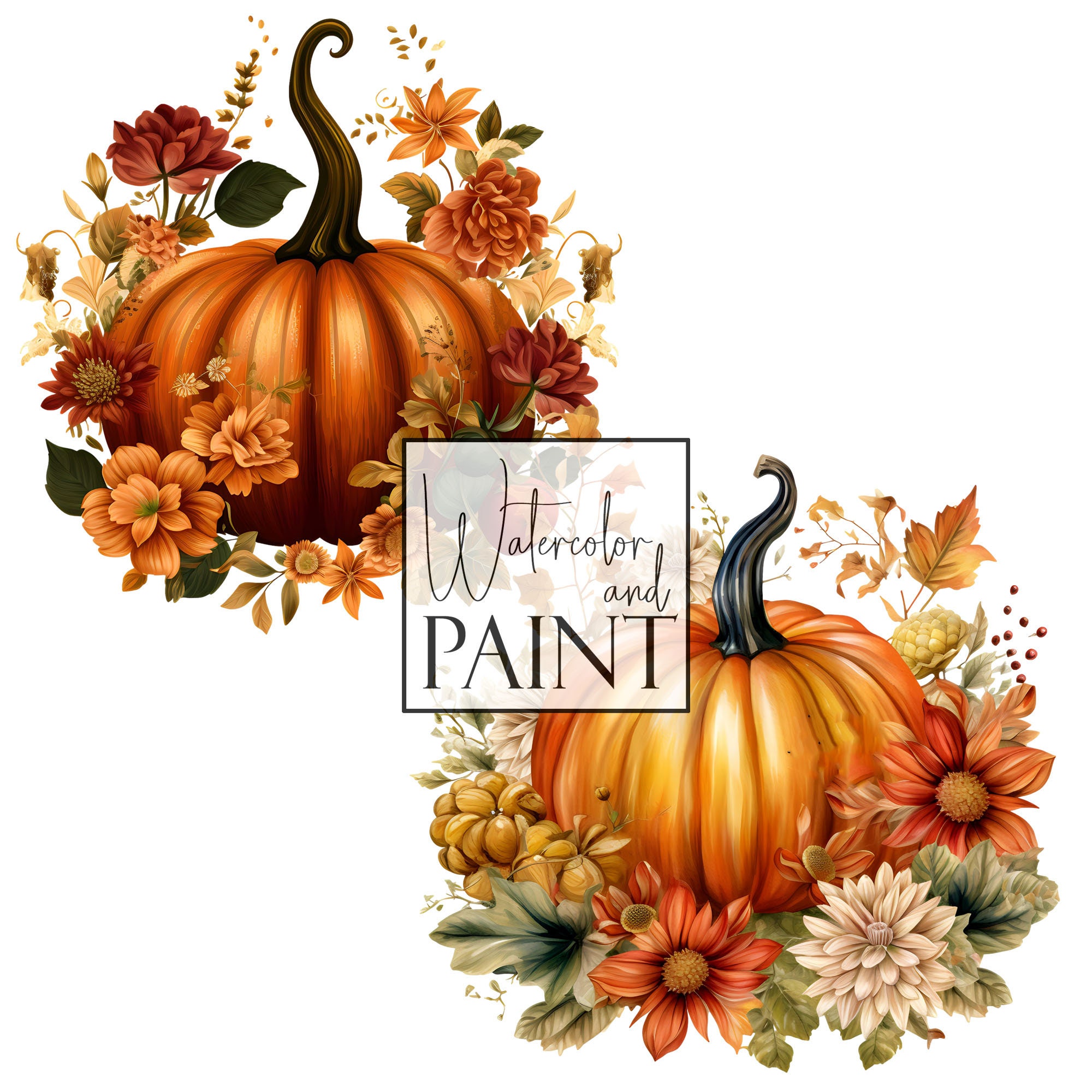 Floral Pumpkin Clipart, Watercolor Fall Elements, PNG Format, Instant ...