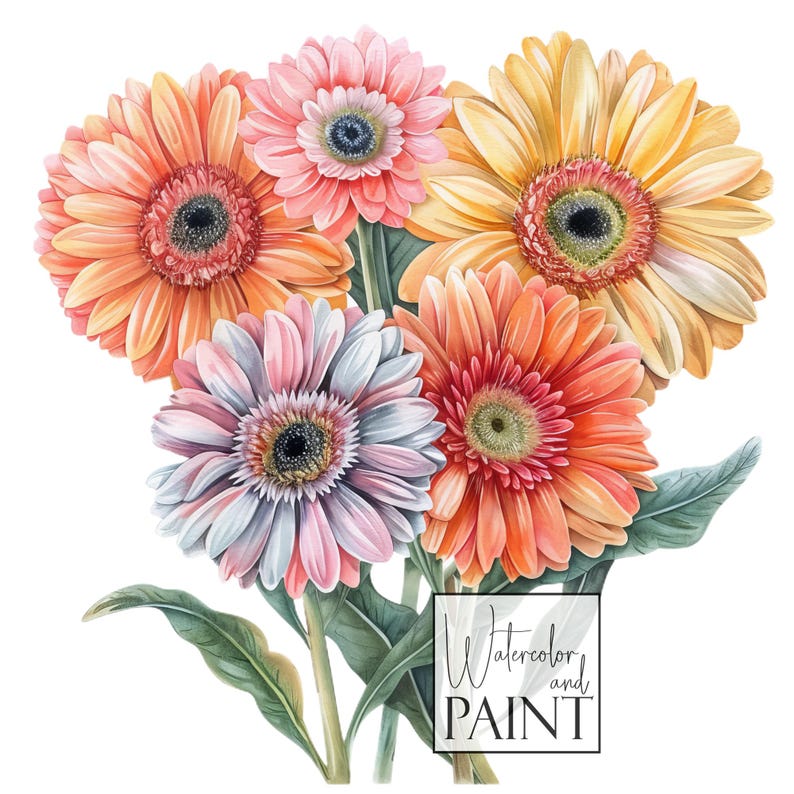 Watercolor Pastel Gerbera Daisy Clipart, 8 Transparent PNG Flowers ...