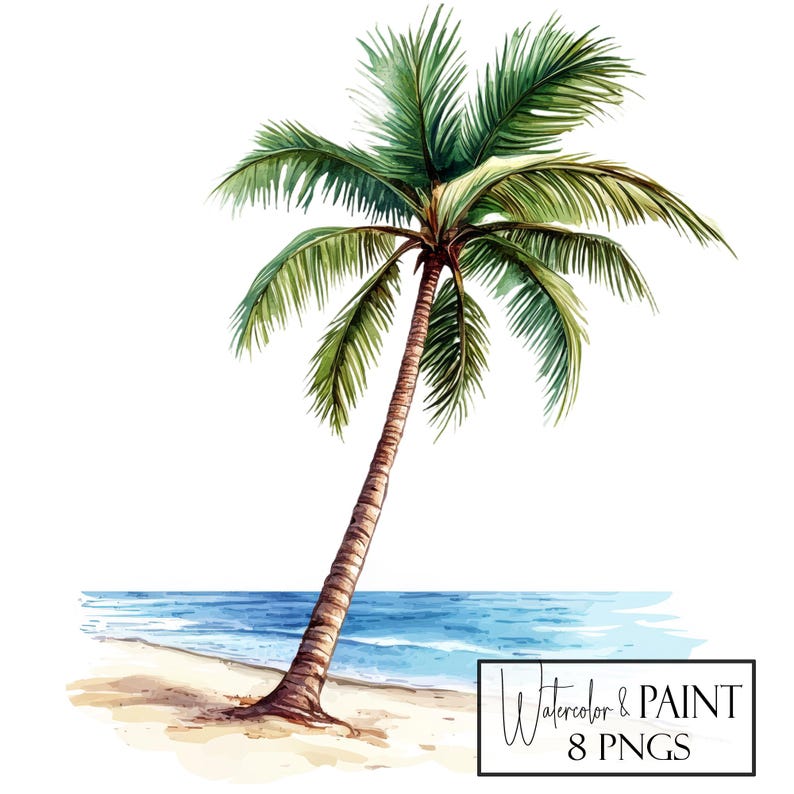 Watercolor Palm Tree Clipart Bundle, 8 PNG, Instant Download ...