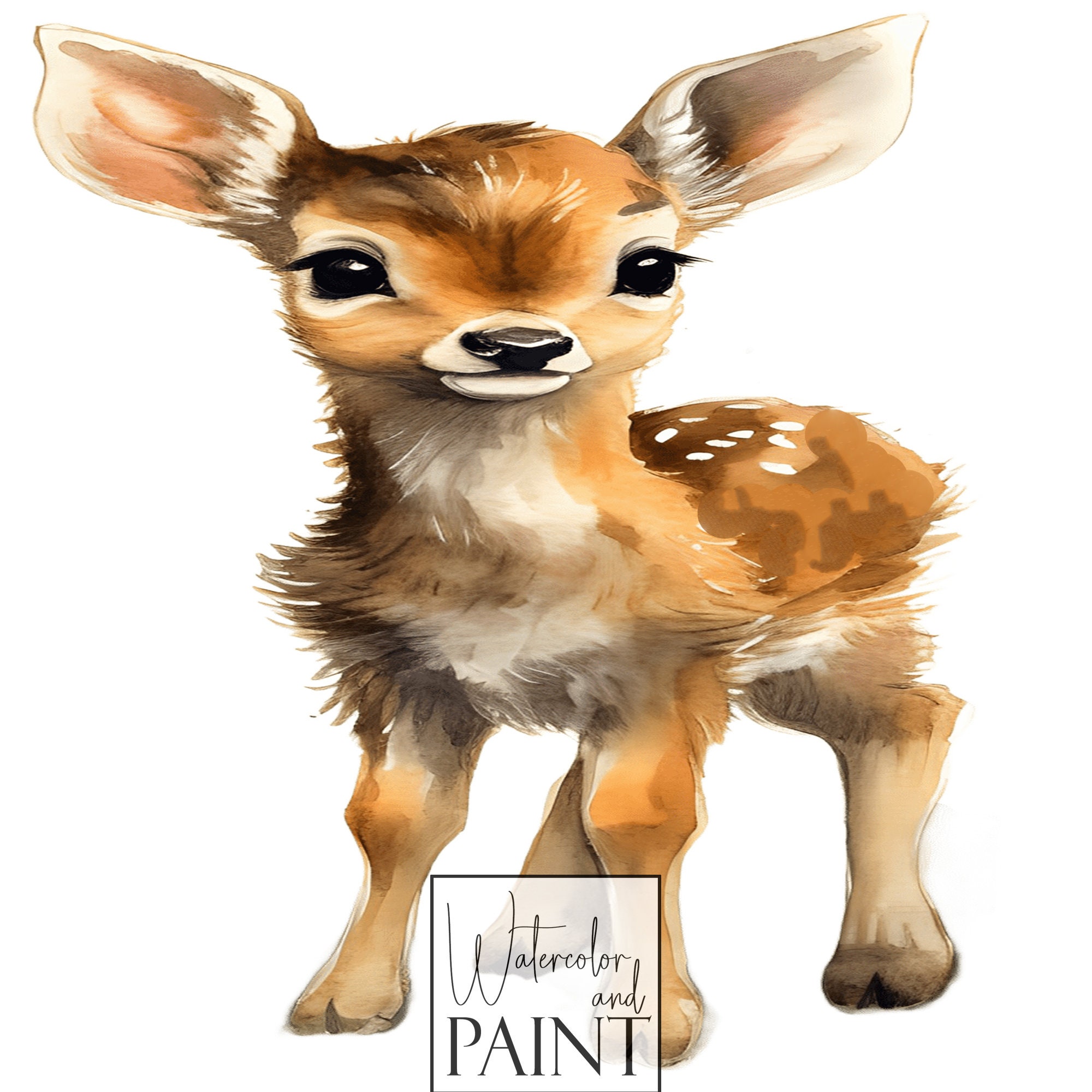 Baby Deer, Fawn Clipart, Watercolor Elements, PNG Format, Instant ...
