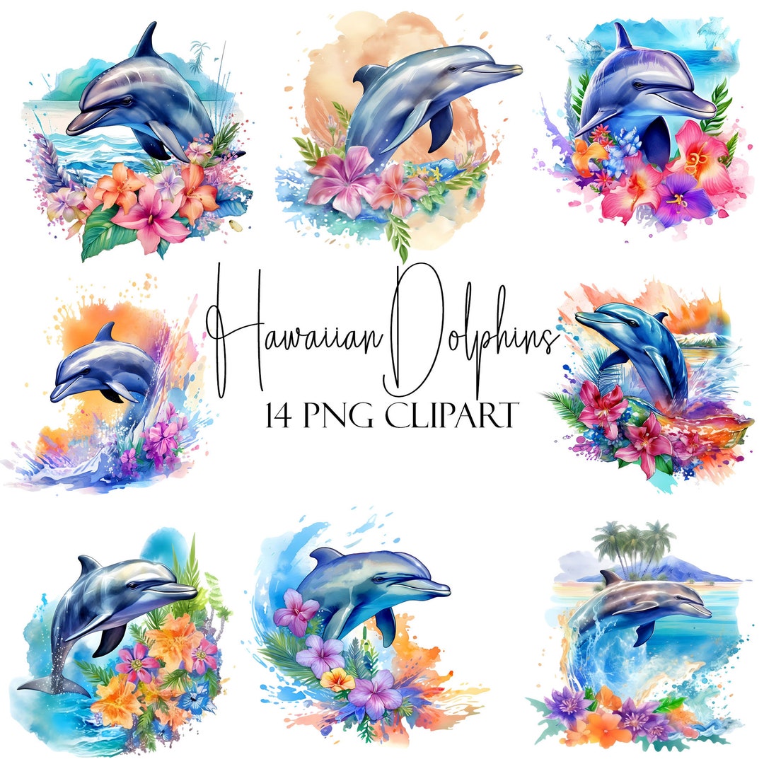 Hawaiian Dolphin Clipart, Watercolor Elements, 14 PNGS, Instant ...
