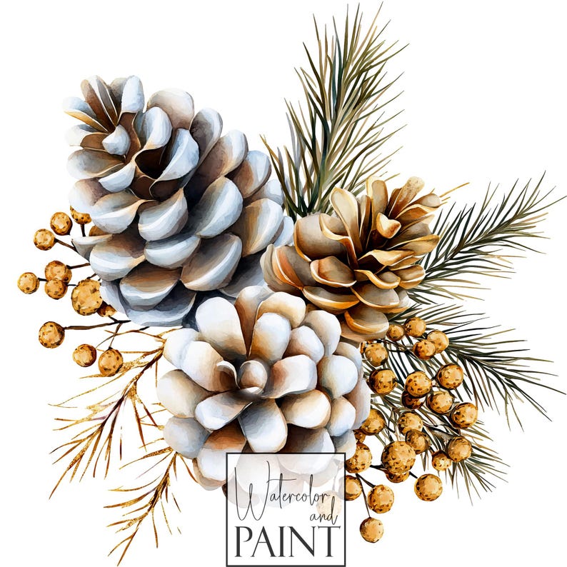 Pinecone Clipart, Gold and White, Christmas Elements, 8 Pngs, Instant ...