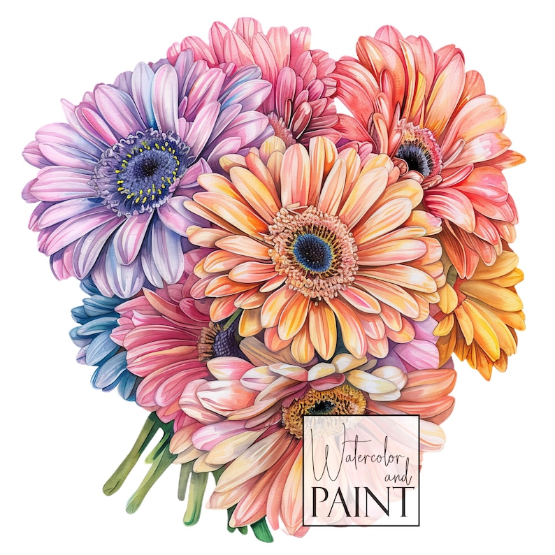 Watercolor Pastel Gerbera Daisy Clipart, 8 Transparent PNG Flowers ...