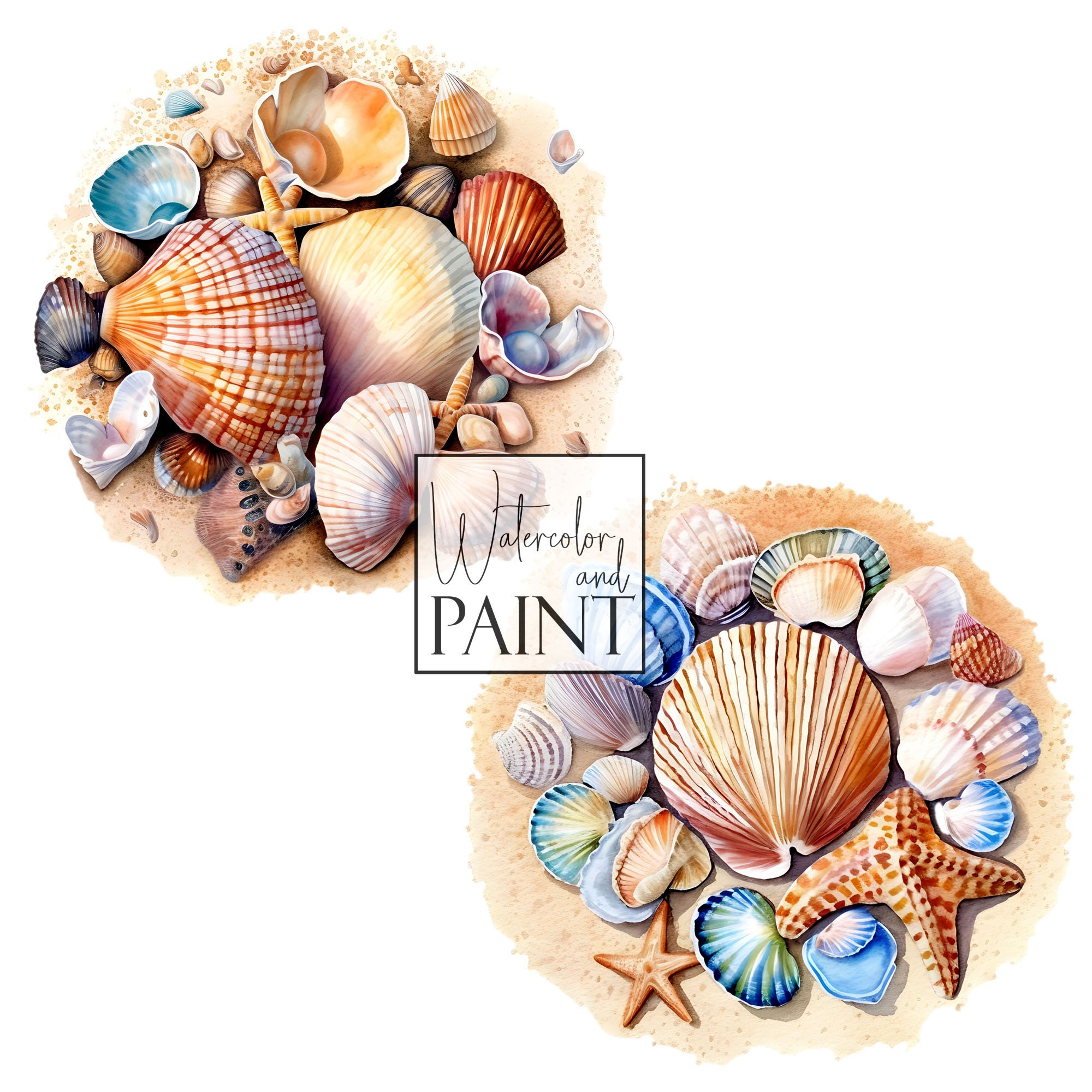 Seashell Circles, Watercolor Clipart, Beach Elements, 14 Pngs, Instant ...