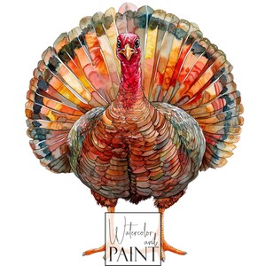 Colorful Turkeys, Thanksgiving Clipart, 8 Pngs, Instant Download ...