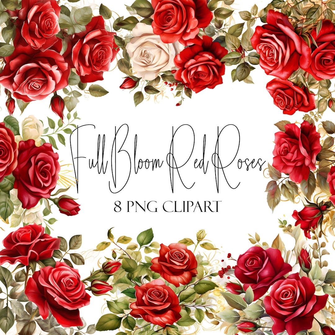 Full Bloom Red Roses, Watercolor Clipart, PNG Format, Instant Download ...