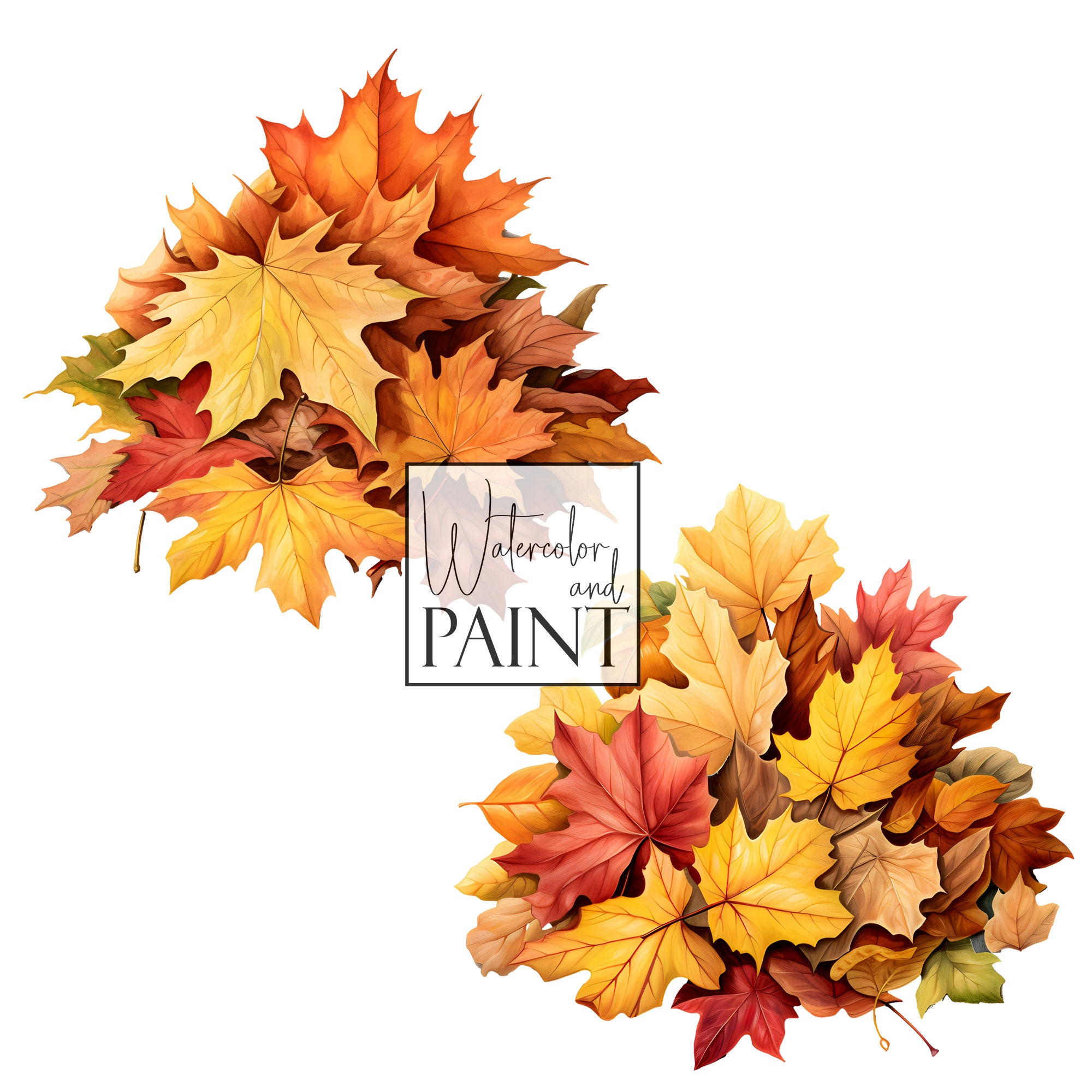 Fall Leaf Clipart, Watercolor Autumn Leaves, PNG Format, Instant ...