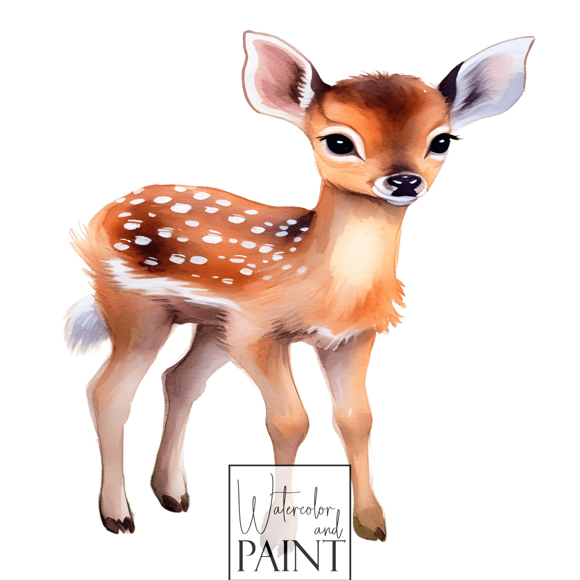 Baby Deer, Fawn Clipart, Watercolor Elements, PNG Format, Instant ...