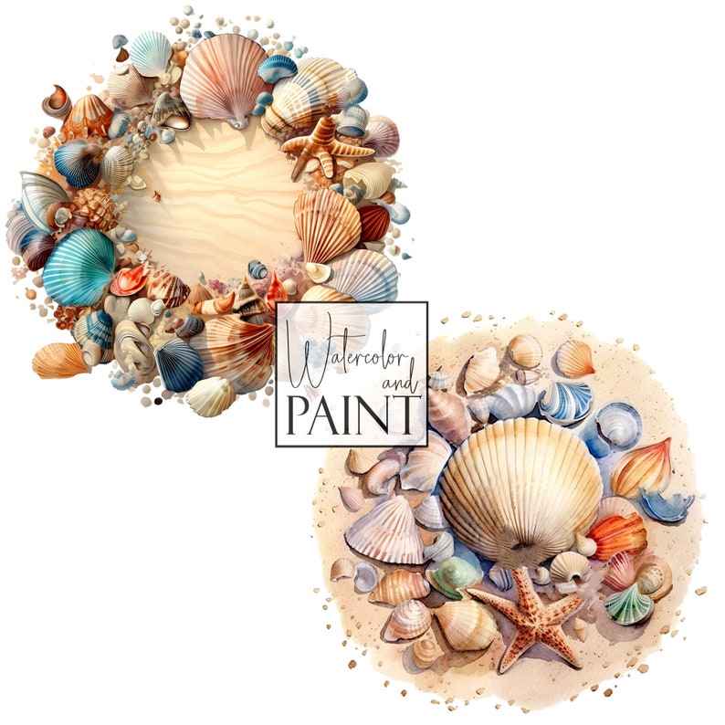Seashell Circles, Watercolor Clipart, Beach Elements, 14 Pngs, Instant ...