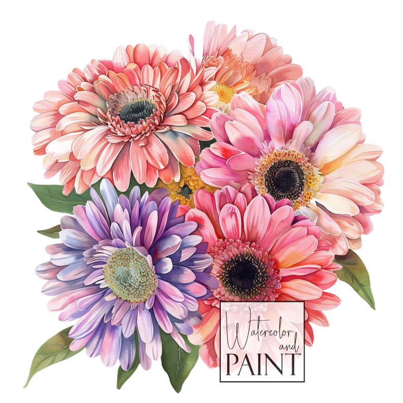 Watercolor Pastel Gerbera Daisy Clipart, 8 Transparent PNG Flowers ...