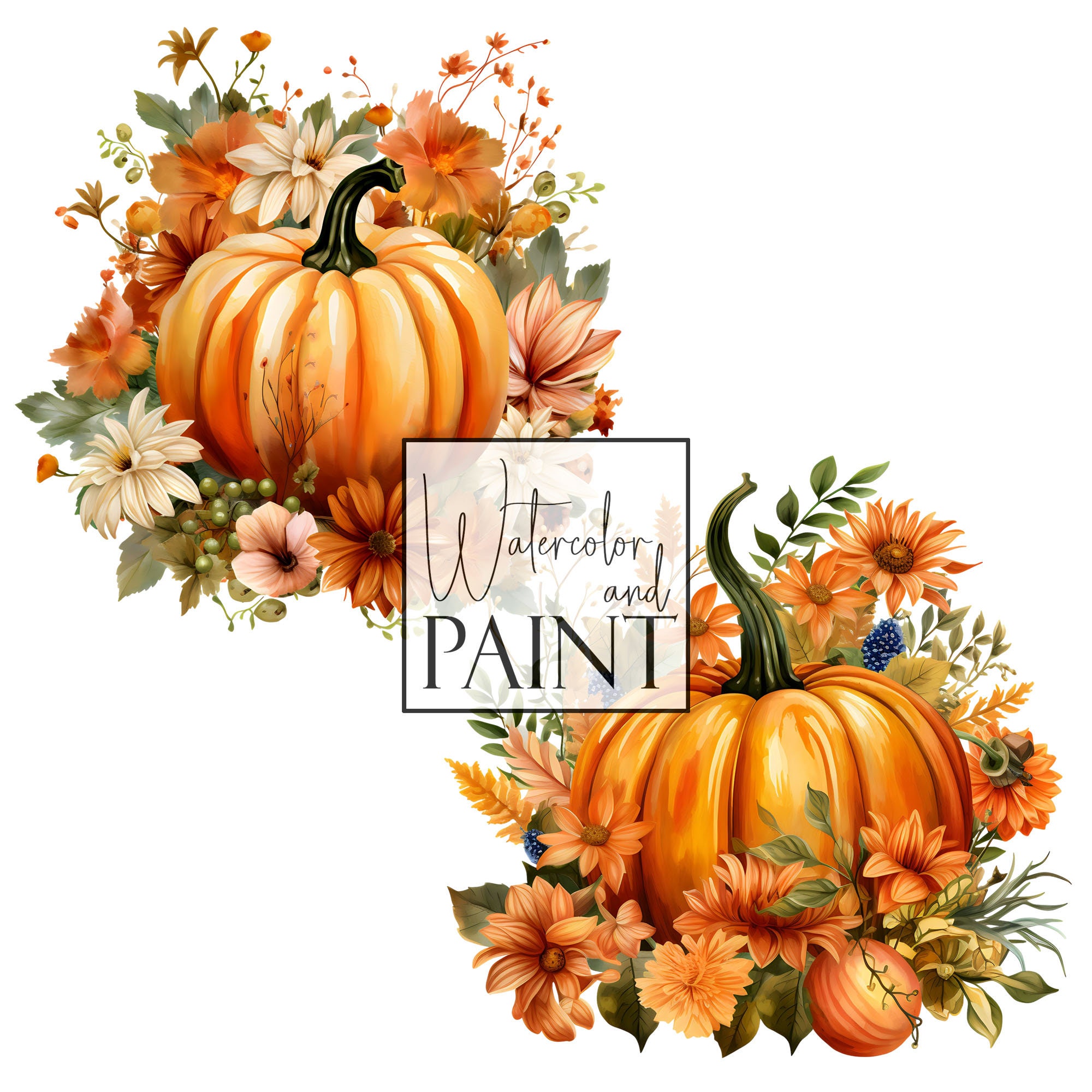 Floral Pumpkin Clipart, Watercolor Fall Elements, PNG Format, Instant ...