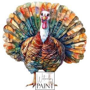 Colorful Turkeys, Thanksgiving Clipart, 8 Pngs, Instant Download ...