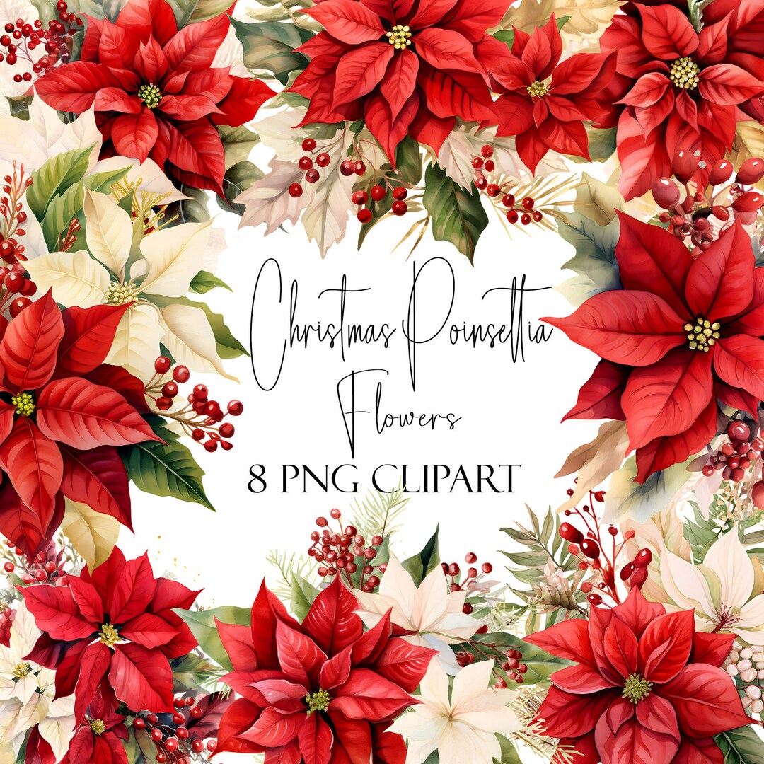 Christmas Poinsettia, Watercolor Clipart, PNG Format, Instant Download ...