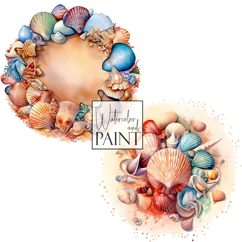 Seashell Circles, Watercolor Clipart, Beach Elements, 14 Pngs, Instant ...