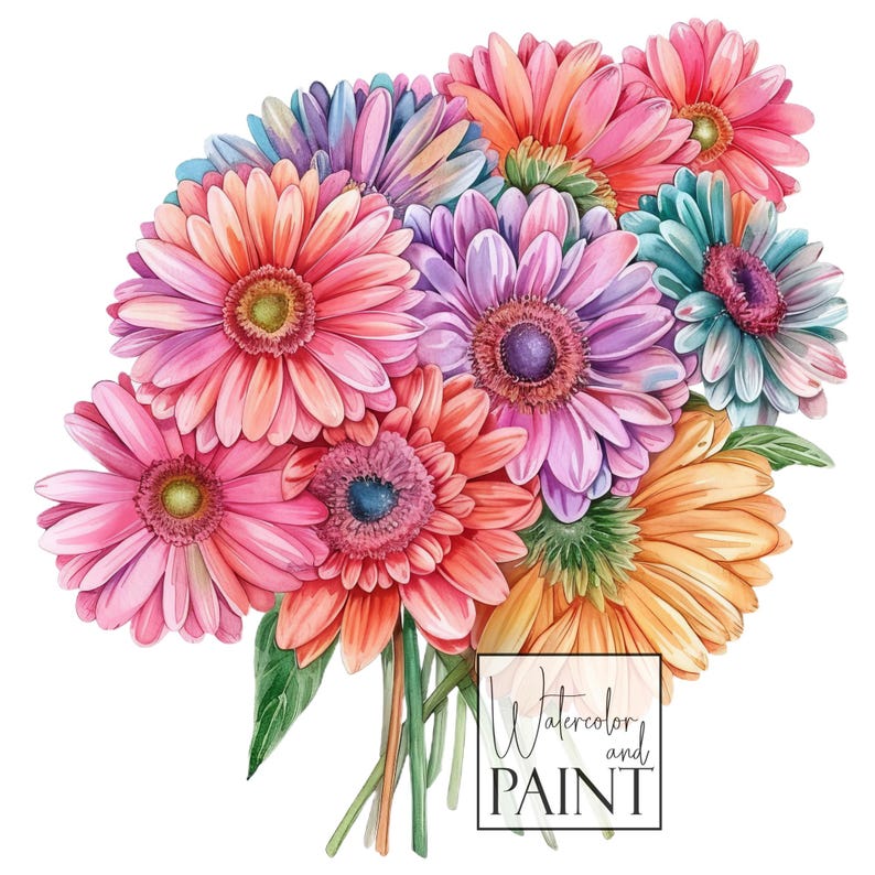 Watercolor Pastel Gerbera Daisy Clipart, 8 Transparent PNG Flowers ...