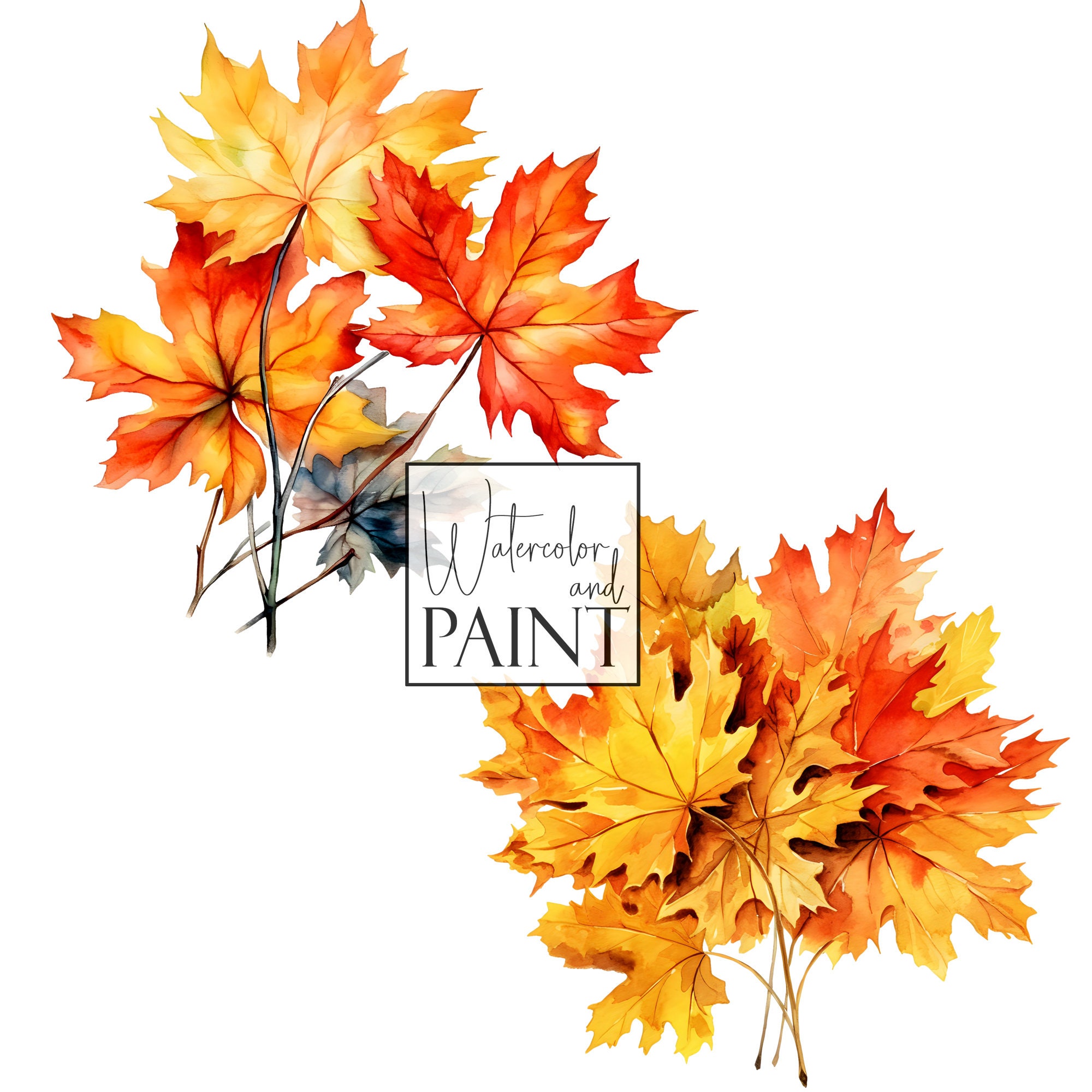 Fall Leaf Clipart Watercolor Autumn Leaves PNG Format - Etsy