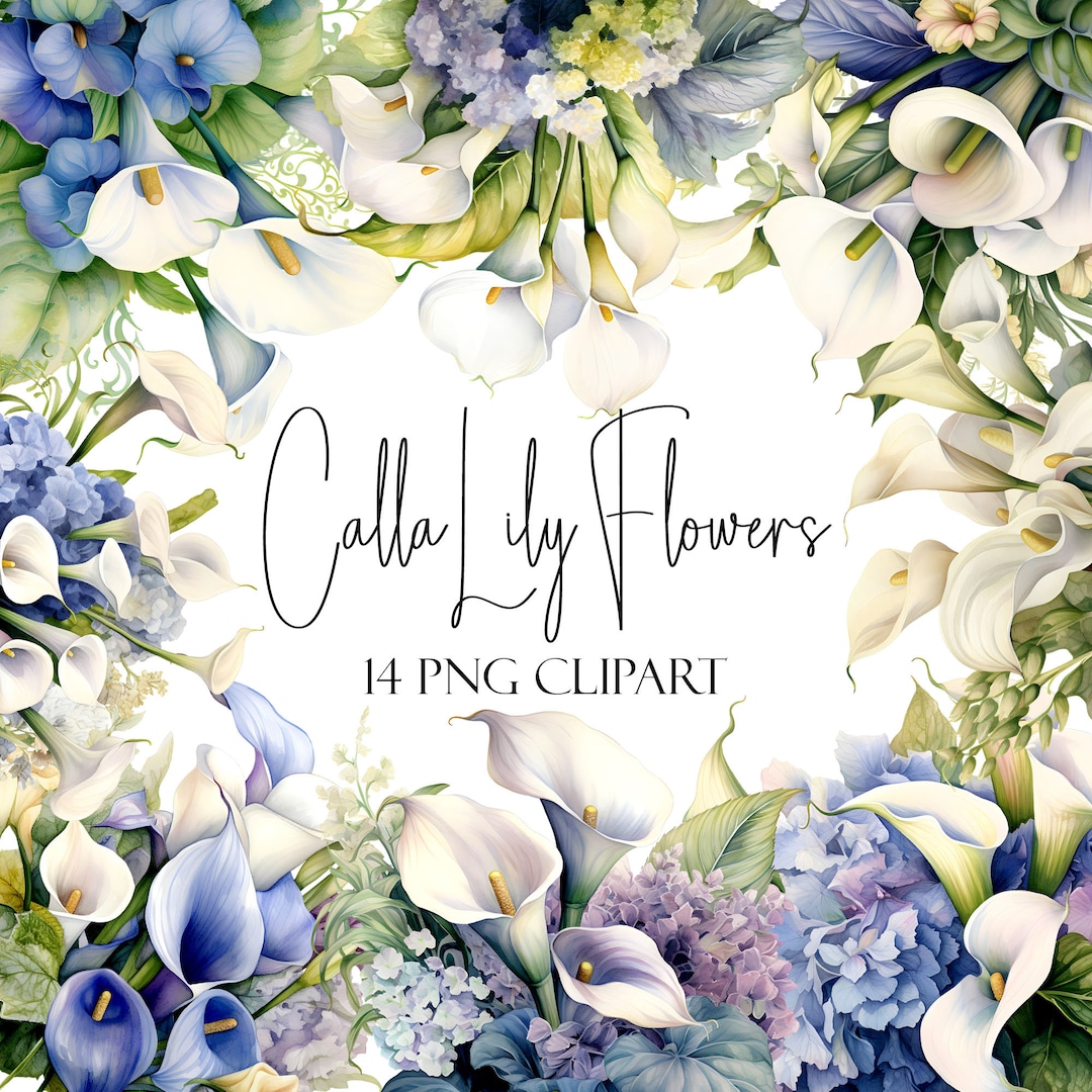 Calla Lily Clipart, Watercolor Flowers, PNG Format, Instant Download ...