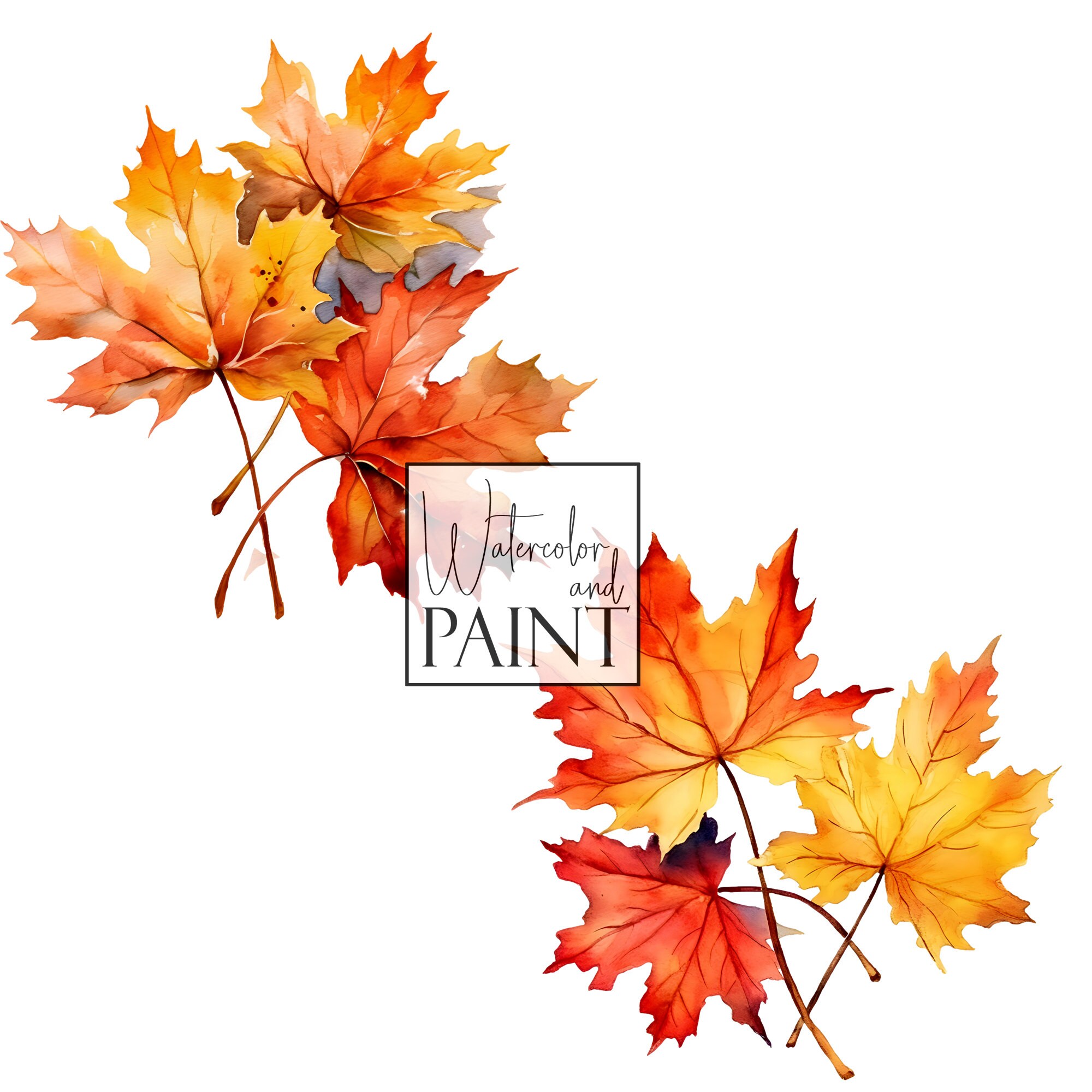 Fall Leaf Clipart, Watercolor Autumn Leaves, PNG Format, Instant ...