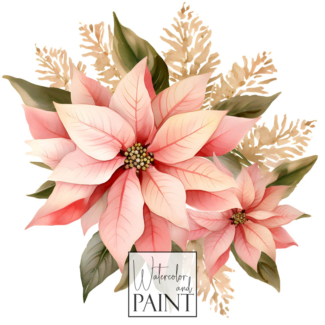 Blush Pink Poinsettia Flower Clipart PNG Format Instant - Etsy