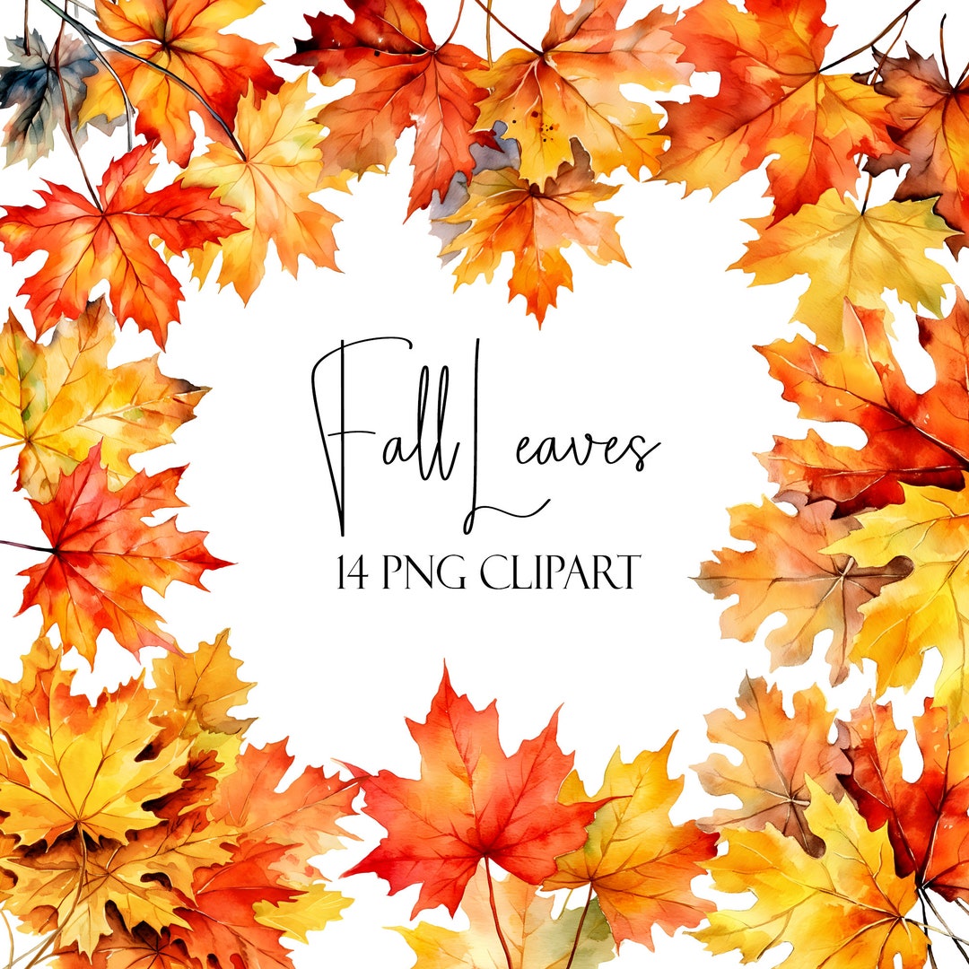 Fall Leaf Clipart, Watercolor Autumn Leaves, PNG Format, Instant ...