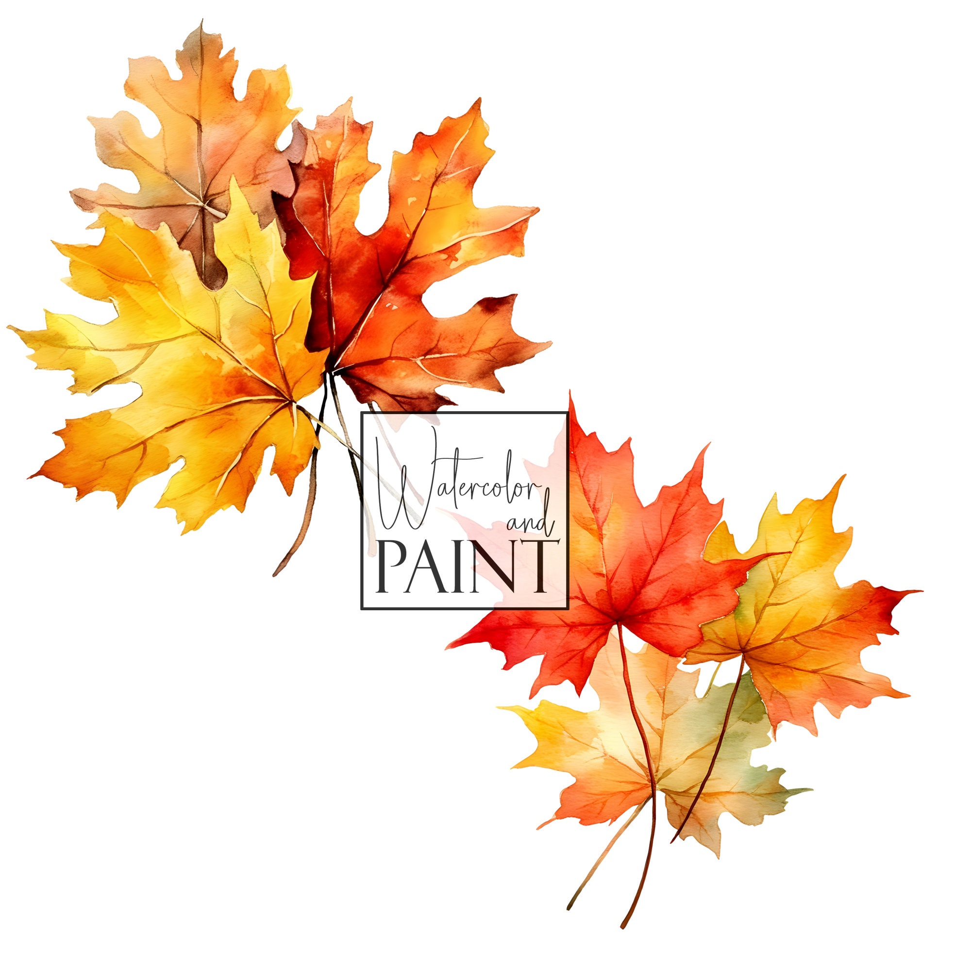 Fall Leaf Clipart, Watercolor Autumn Leaves, PNG Format, Instant ...
