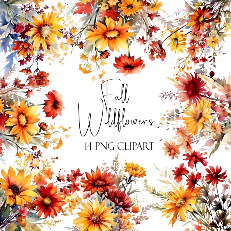 Fall Wildflower Clipart, Watercolor Autumn Floral, PNG Format, Instant ...