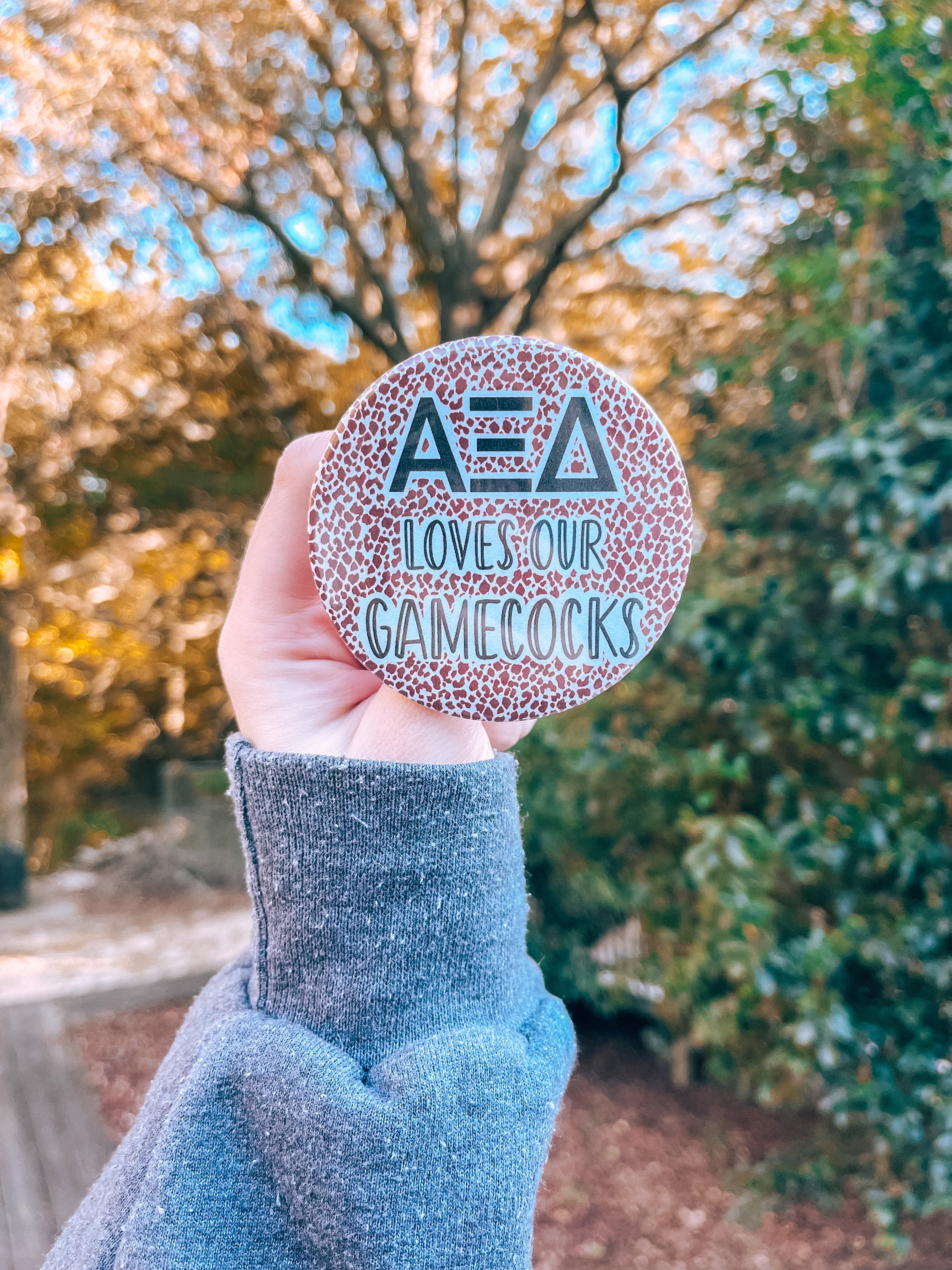 South Carolina Sorority Game Day Pins | Game Day Buttons | USC ...