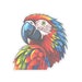 Mr. Macaw - Etsy