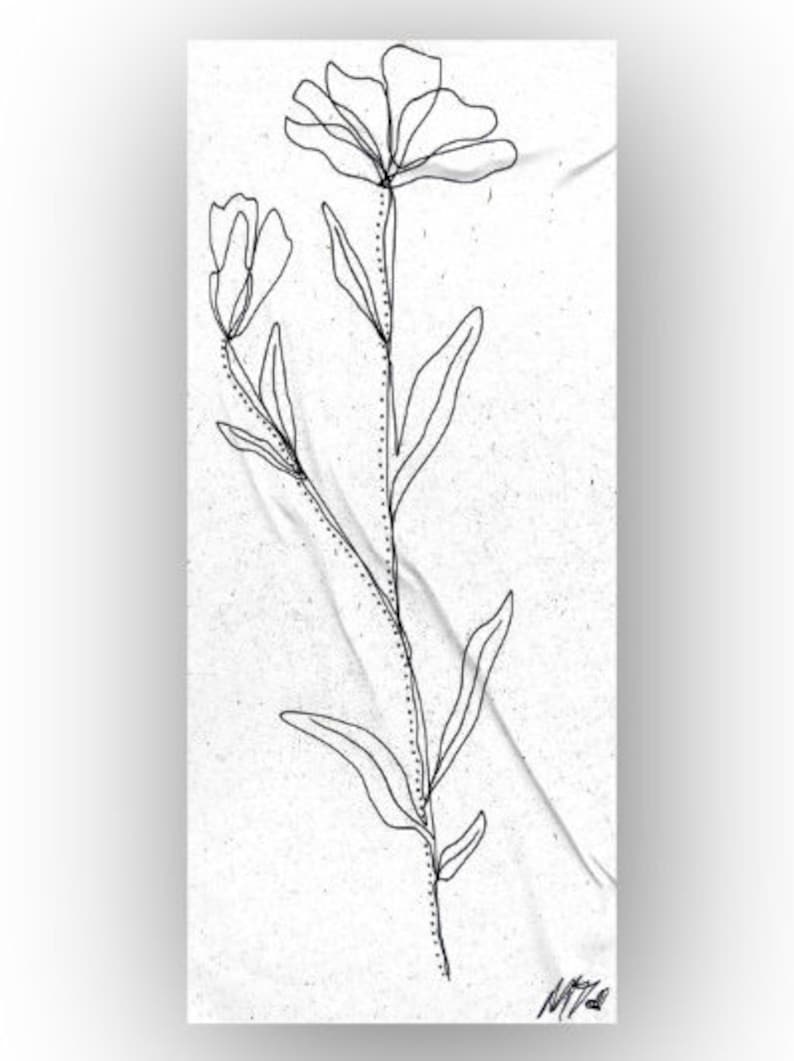 Fine Line Floral Print Pack, Simple Minimalist Drawings, Basic Single ...