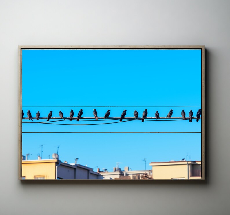 Birds on a Wire Digital Wall Art. Printable in Photorealism. INSTANT ...