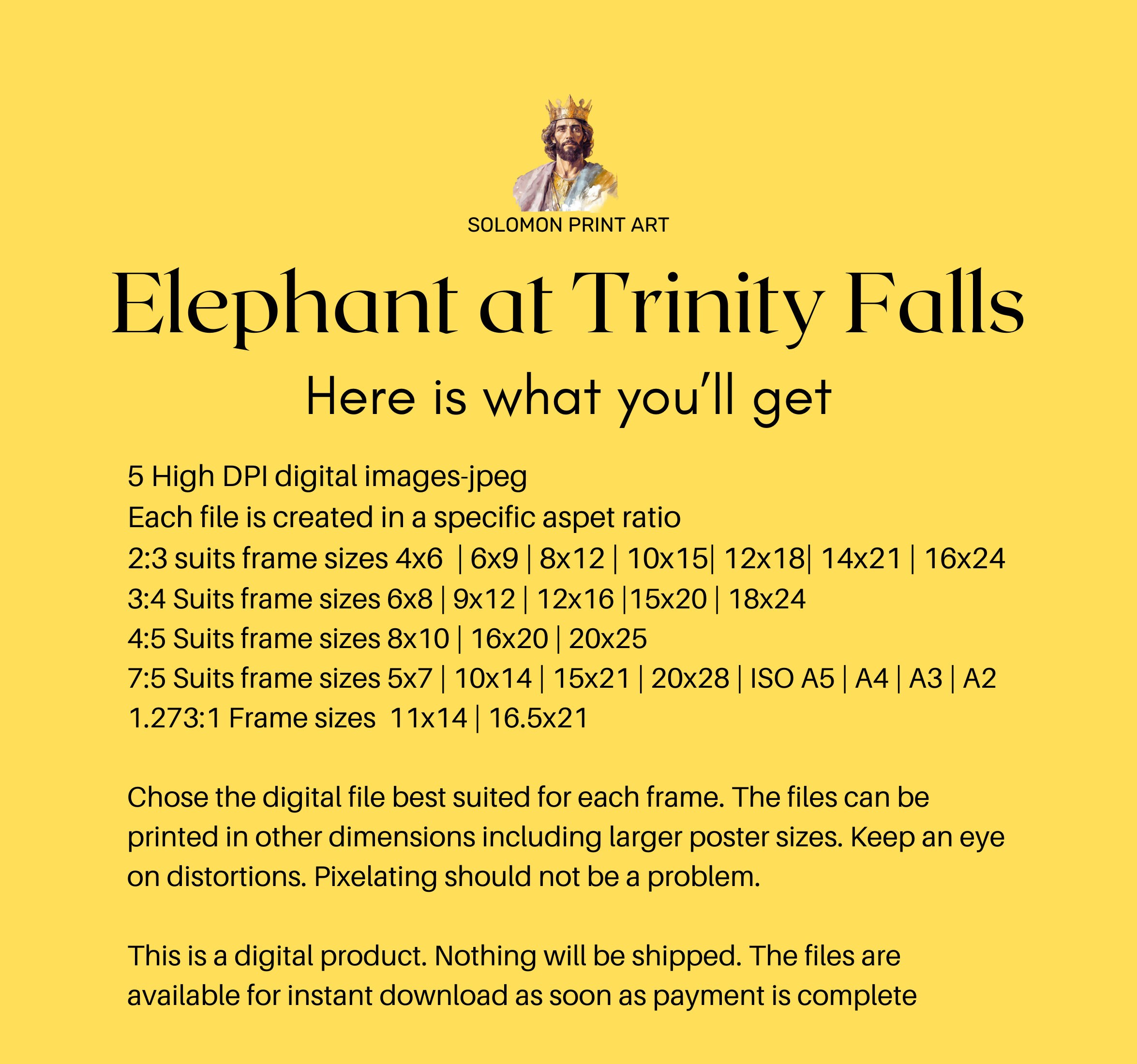 Elephant at Trinity Falls. Digital Print INSTANT DOWNLOAD Elephant Wall ...