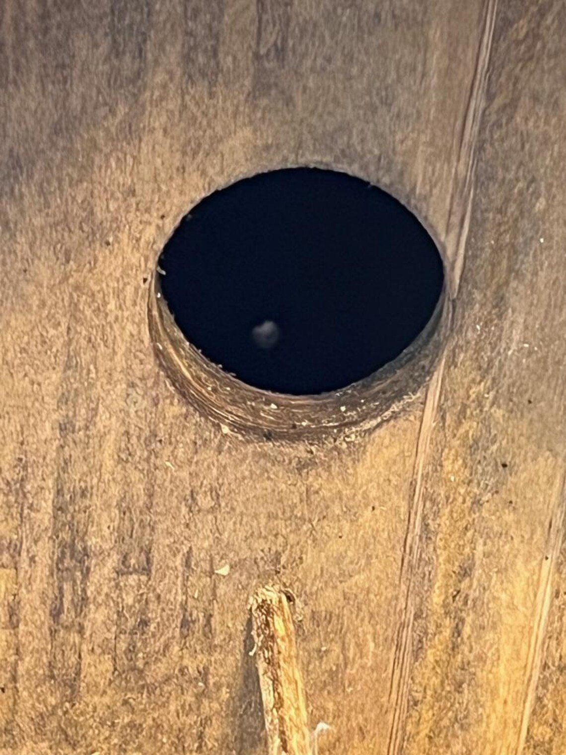 Rustic Wood Birdhouse - Etsy