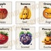 24 Printable Fruit Flashcards for Kids, Fruits & Funny Realistic ...