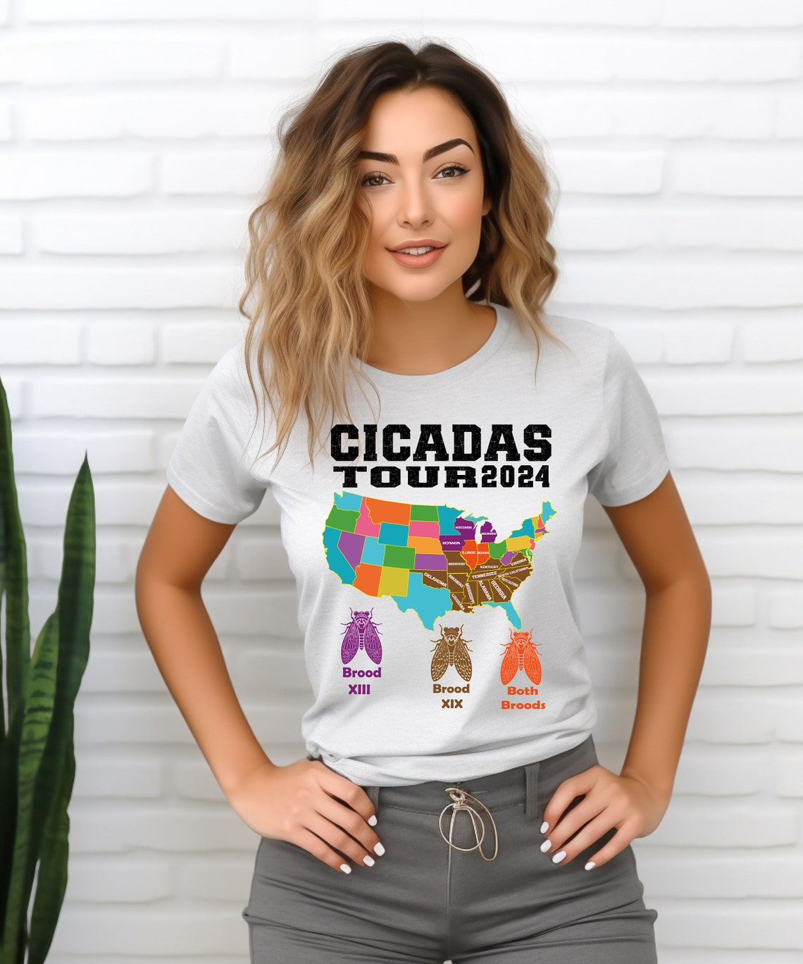 Cicadas Tour 2024 American Map Cicadas Invasion 2024 - Etsy