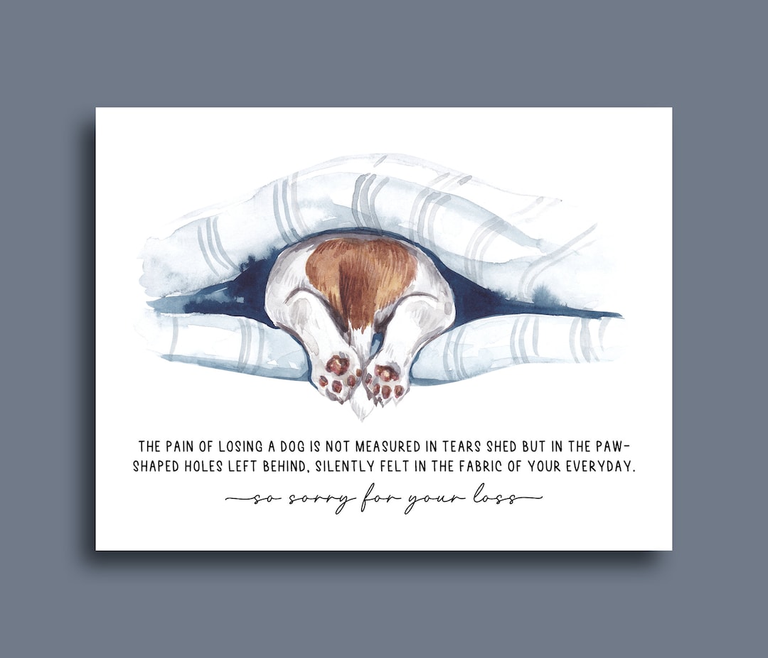 So Sorry for Your Loss Pet Loss Card Card for Grieving Friend Loss of ...
