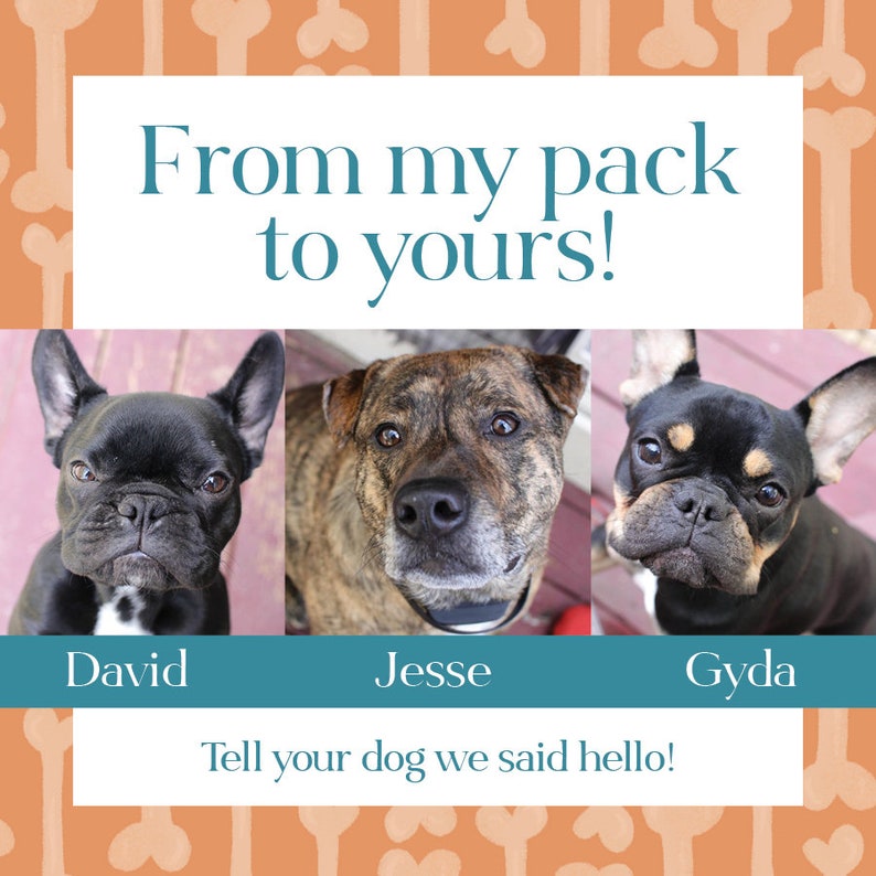 Happy Retirement Greeting Card Instant Download Printable | Cute Funny ...