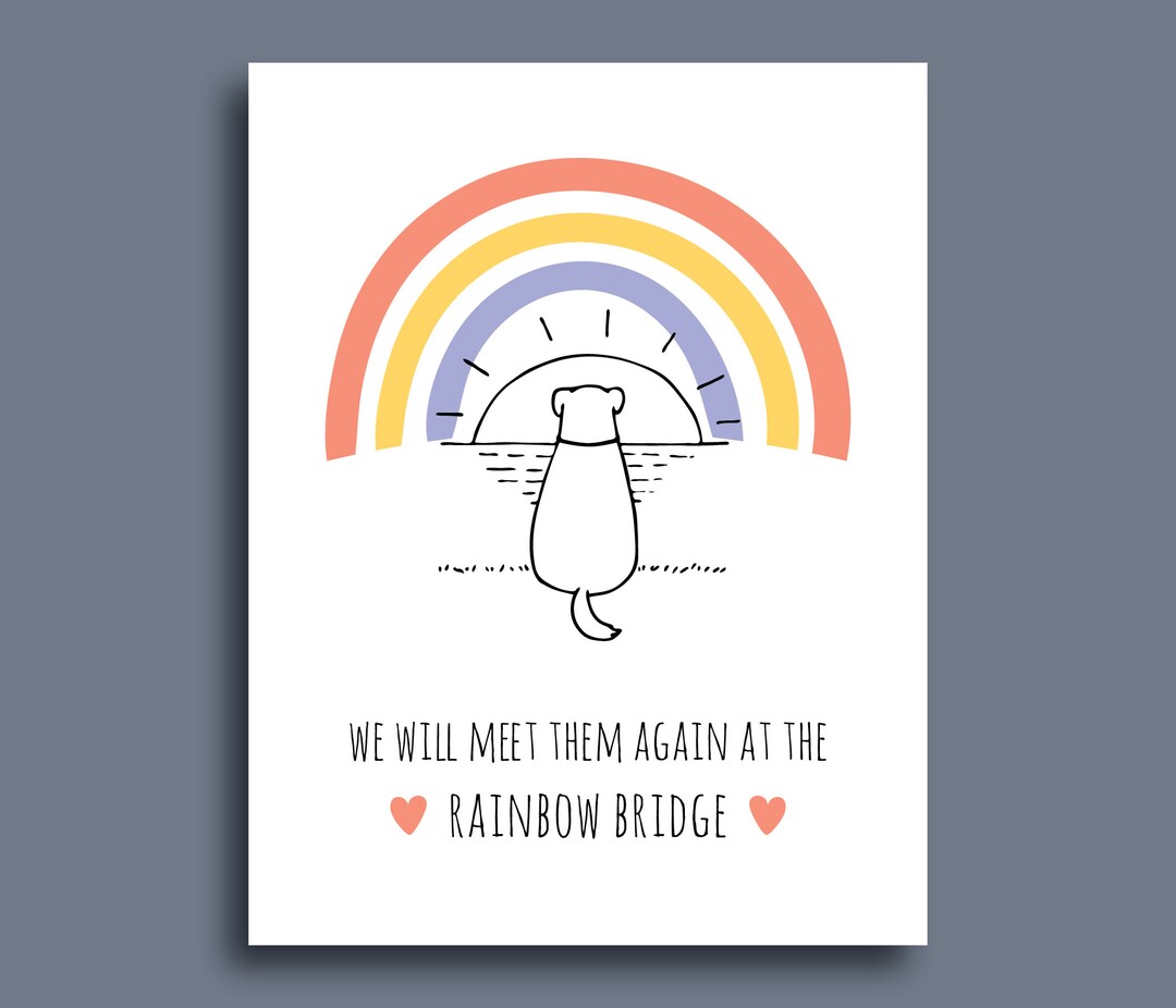 We Will Meet Them Again at the Rainbow Bridge | Pet Loss Card | Card ...