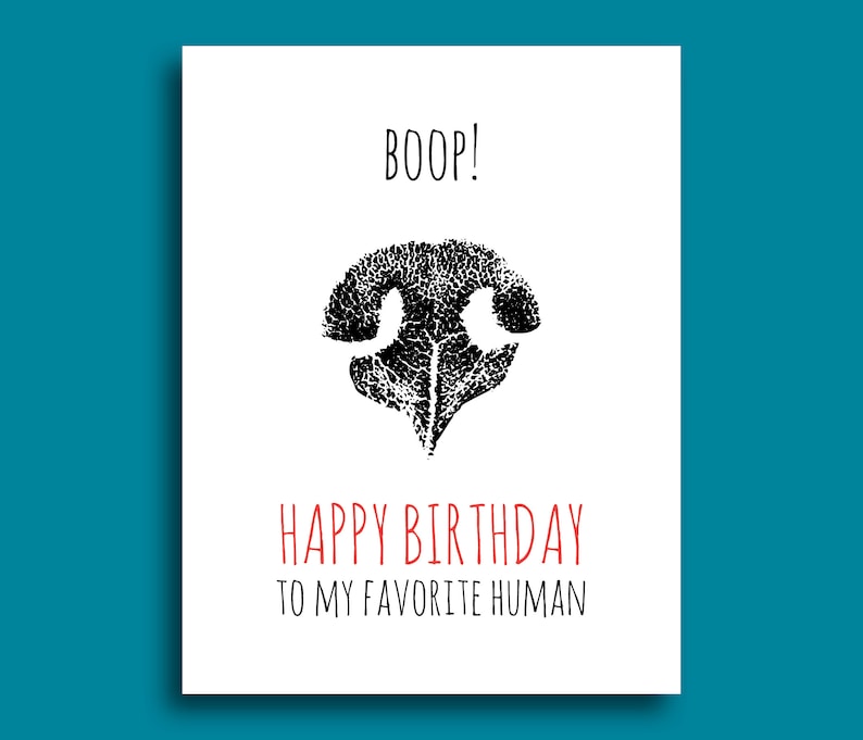 Boop! Happy Birthday to My Favorite Human | Birthday Card From the Dog ...