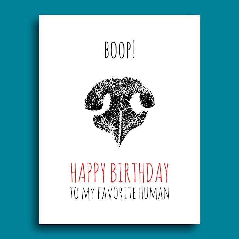 Happy Birthday Human Pet - Etsy