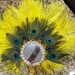 ESPEJO OSHUN Yalorde - Etsy