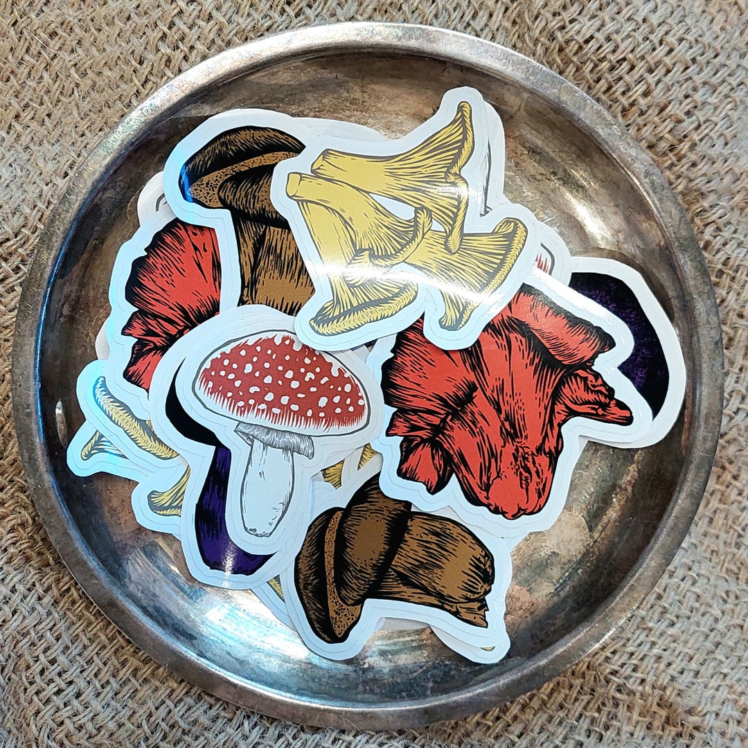 Illustrated Mushroom Sticker Pack - Etsy