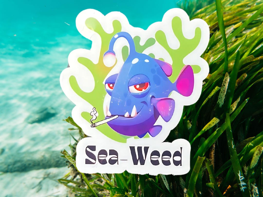 Seaweed Sticker – Funny Ocean-themed Dad Joke Sticker for Laptop, Water ...