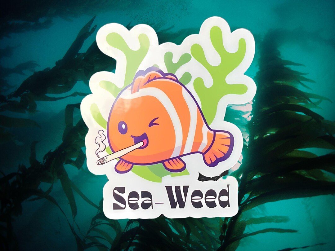 Seaweed Sticker – Funny Ocean-themed Dad Joke Sticker for Laptop, Water ...