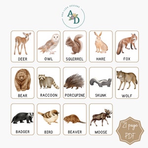 Toddler/pre-k Woodland Animal Flashcards - Etsy